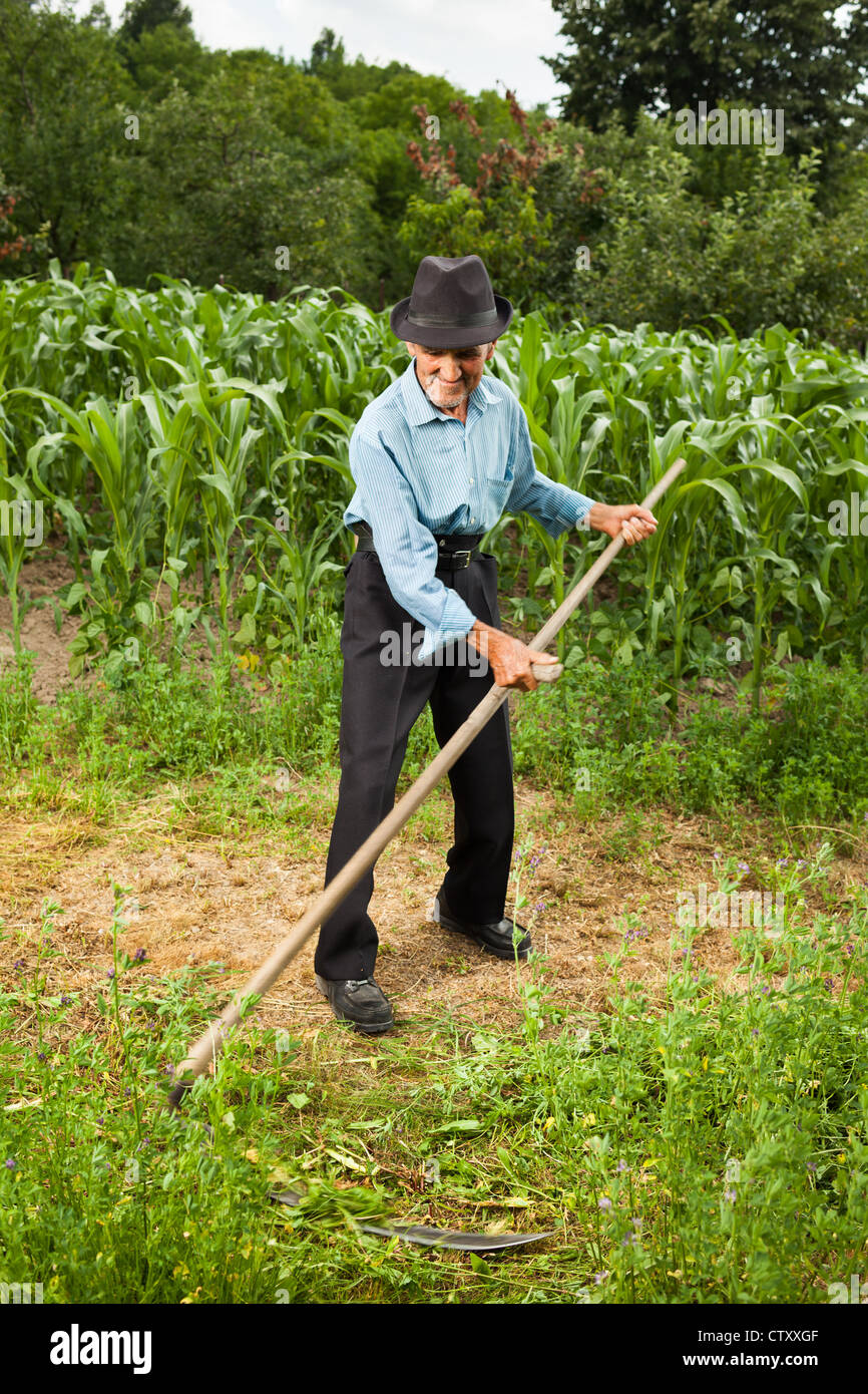 Farmer cutting grass with a scythe hi-res stock photography and images ...