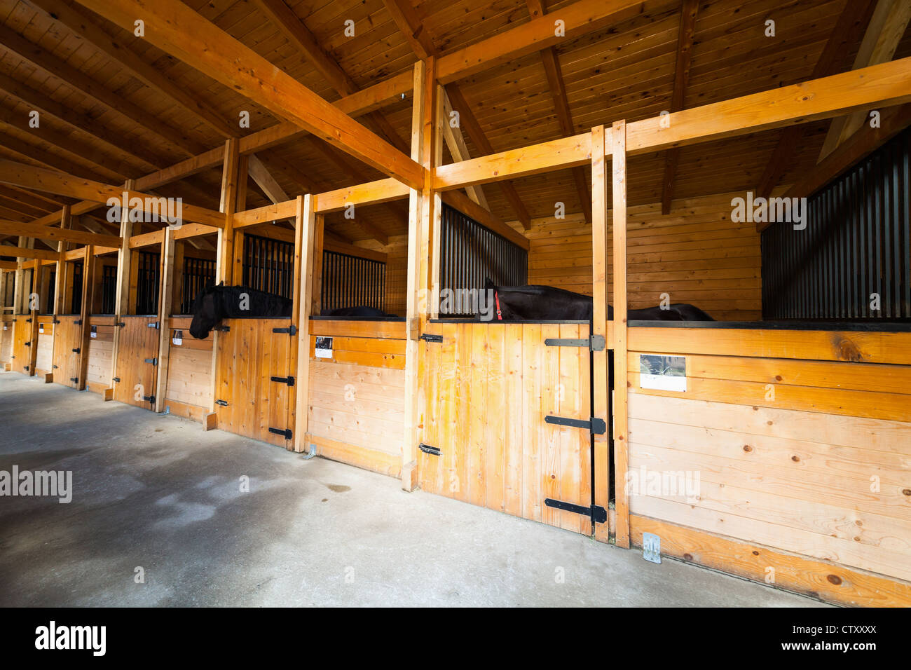 Stable with black horses in wooden enclosures Stock Photo - Alamy