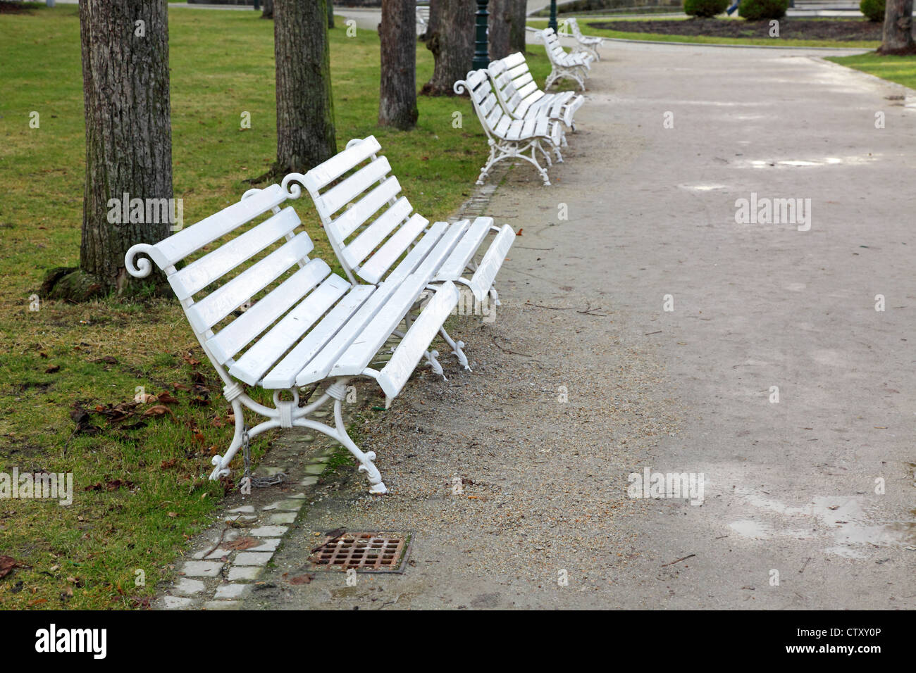 white benches in the Park along the path Stock Photo - Alamy