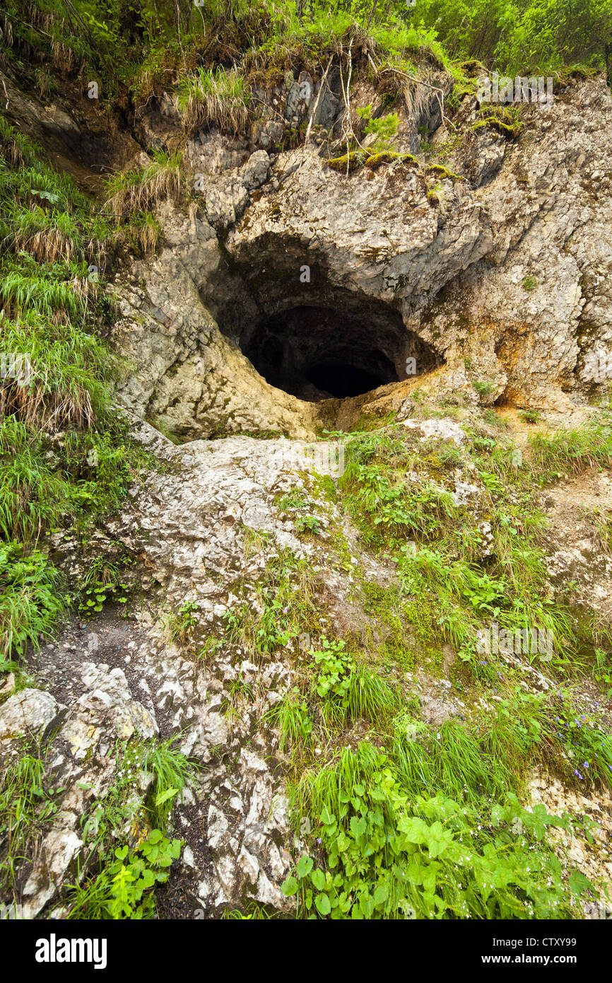 Cave entrance in a limestone mountain wall Stock Photo - Alamy