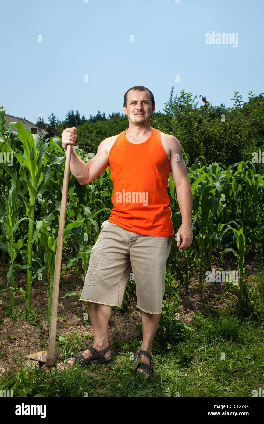 Sweating working young farmer with a hoe near a corn field Stock Photo ...