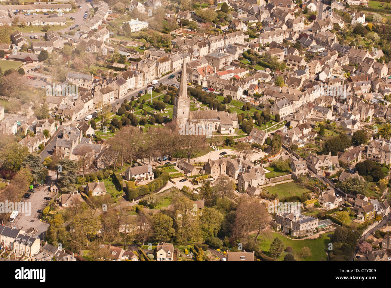 99 ewe trees hi-res stock photography and images - Alamy