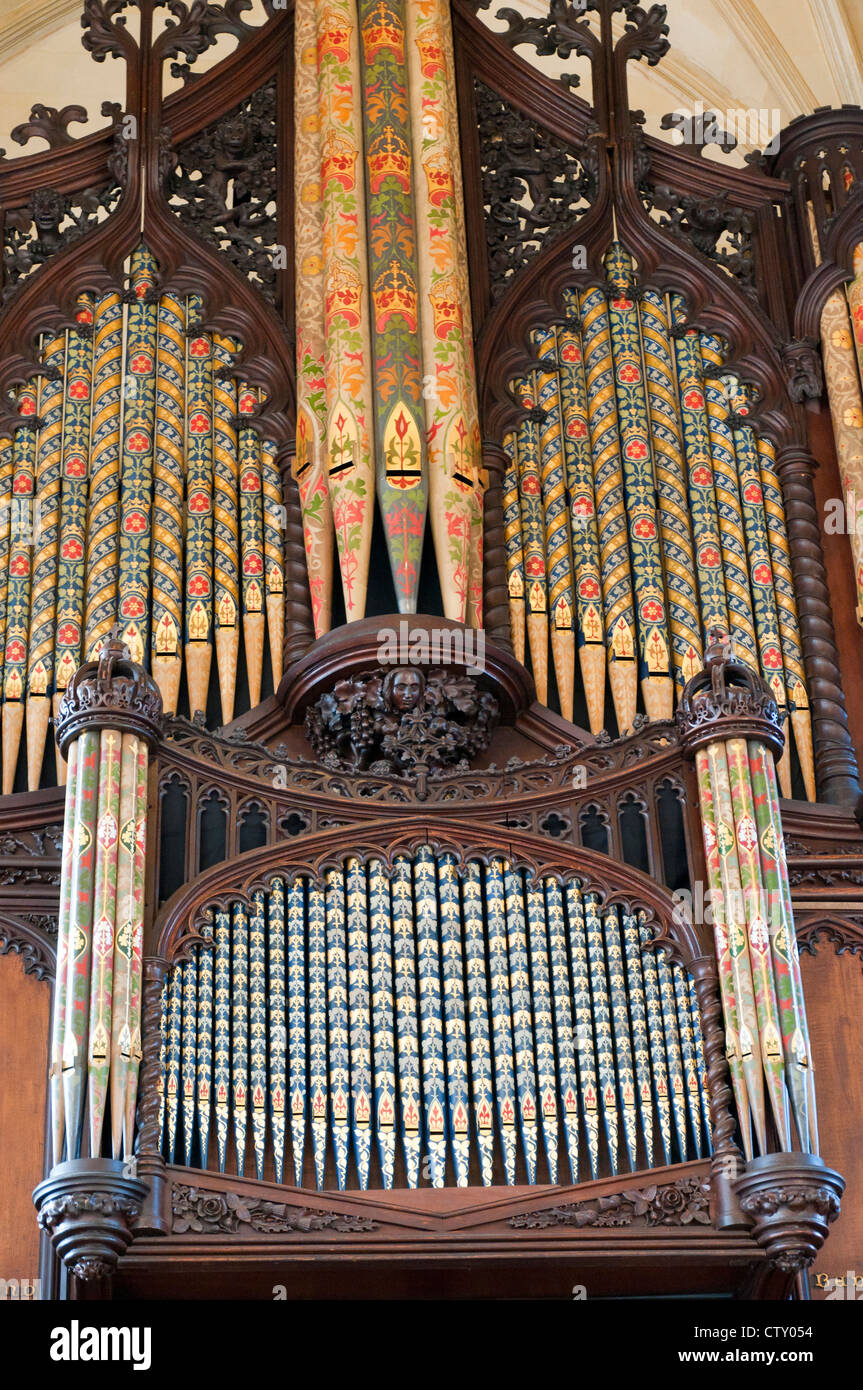 Organ in the Garrison Church of Dublin Castle in the Centre of the city ...