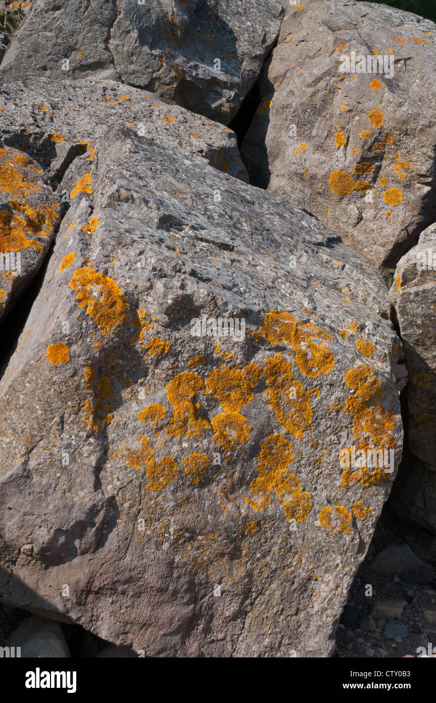 Large rocks acting as flood defence Stock Photo - Alamy