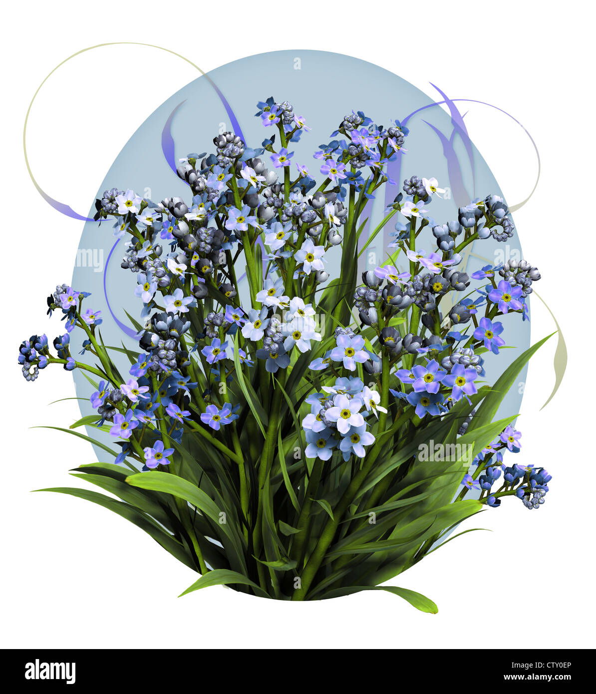 a bouquet of forget me not flowers in blue colors Stock Photo - Alamy
