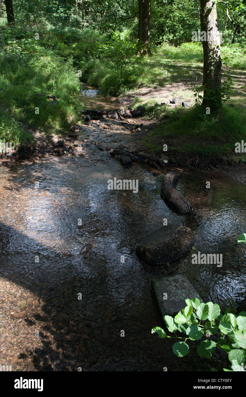 Shallow water habitats hi-res stock photography and images - Alamy