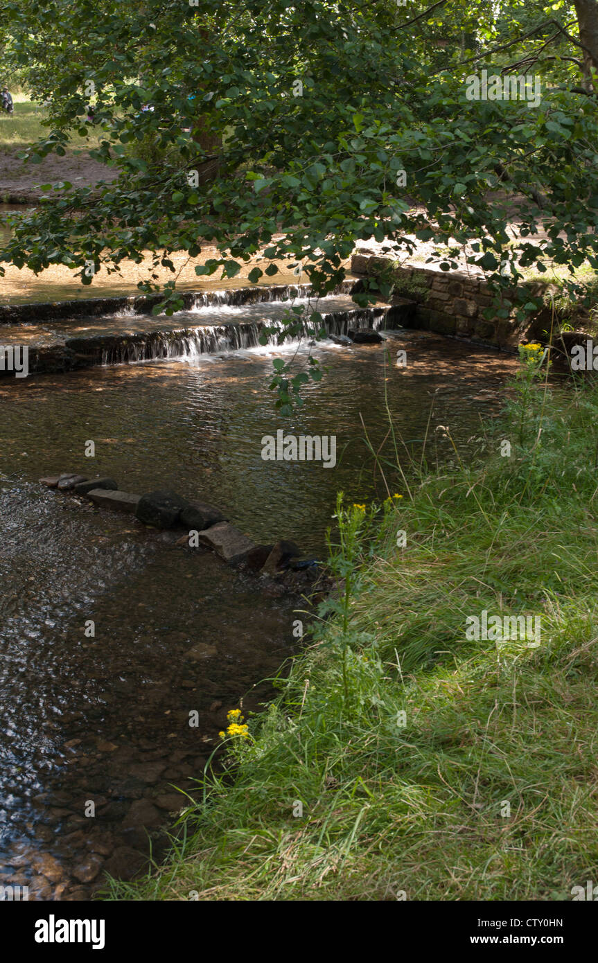 shallow sream in woodland Stock Photo - Alamy