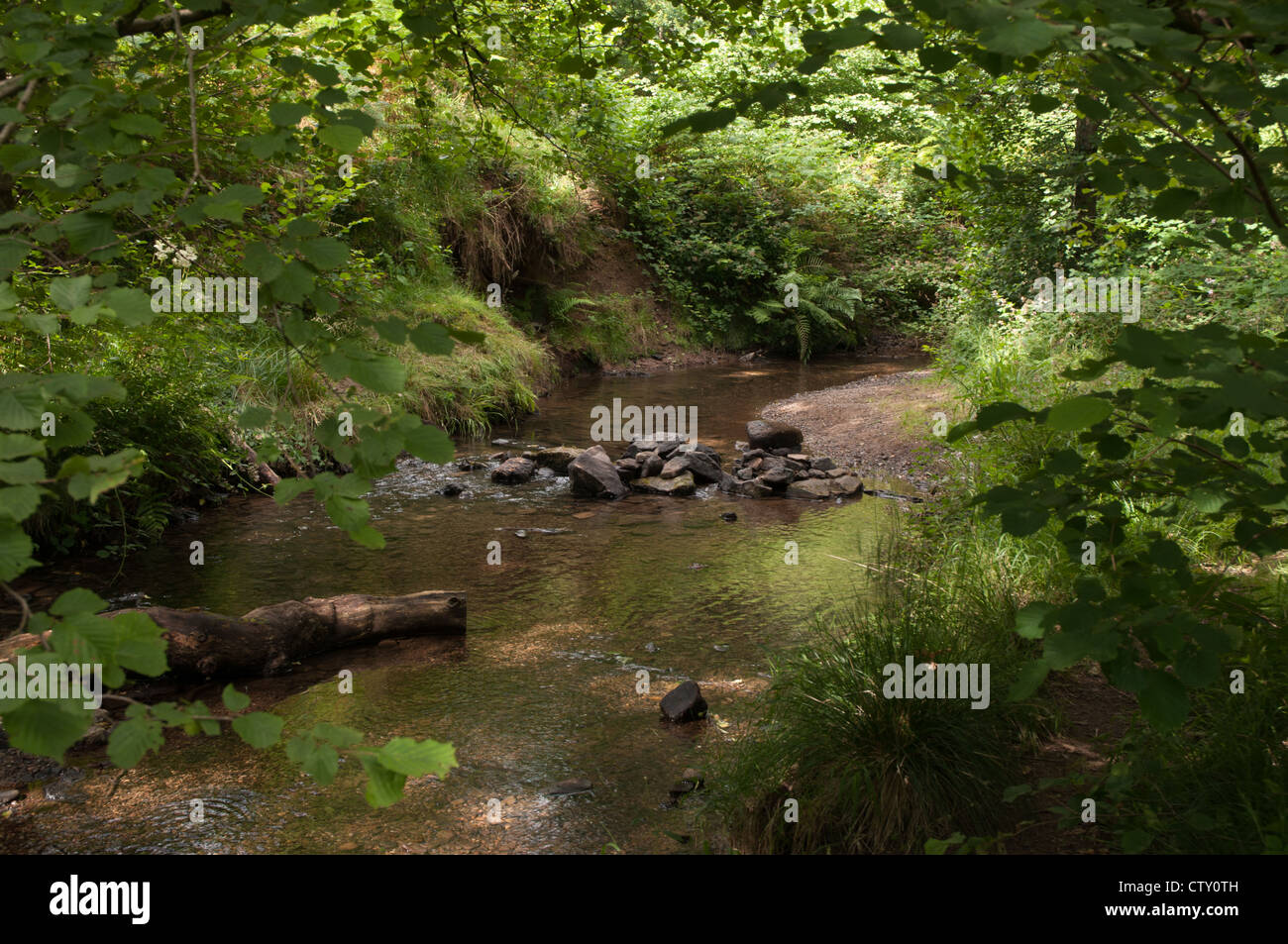 Shallow forest streams hi-res stock photography and images - Alamy
