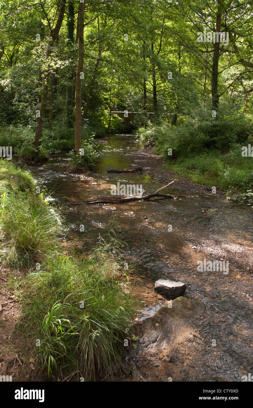 Sream bed hi-res stock photography and images - Alamy