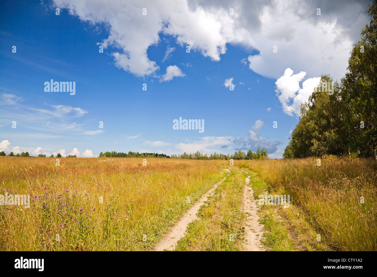 Russian rural landscape with dirt road along the field and bright ...