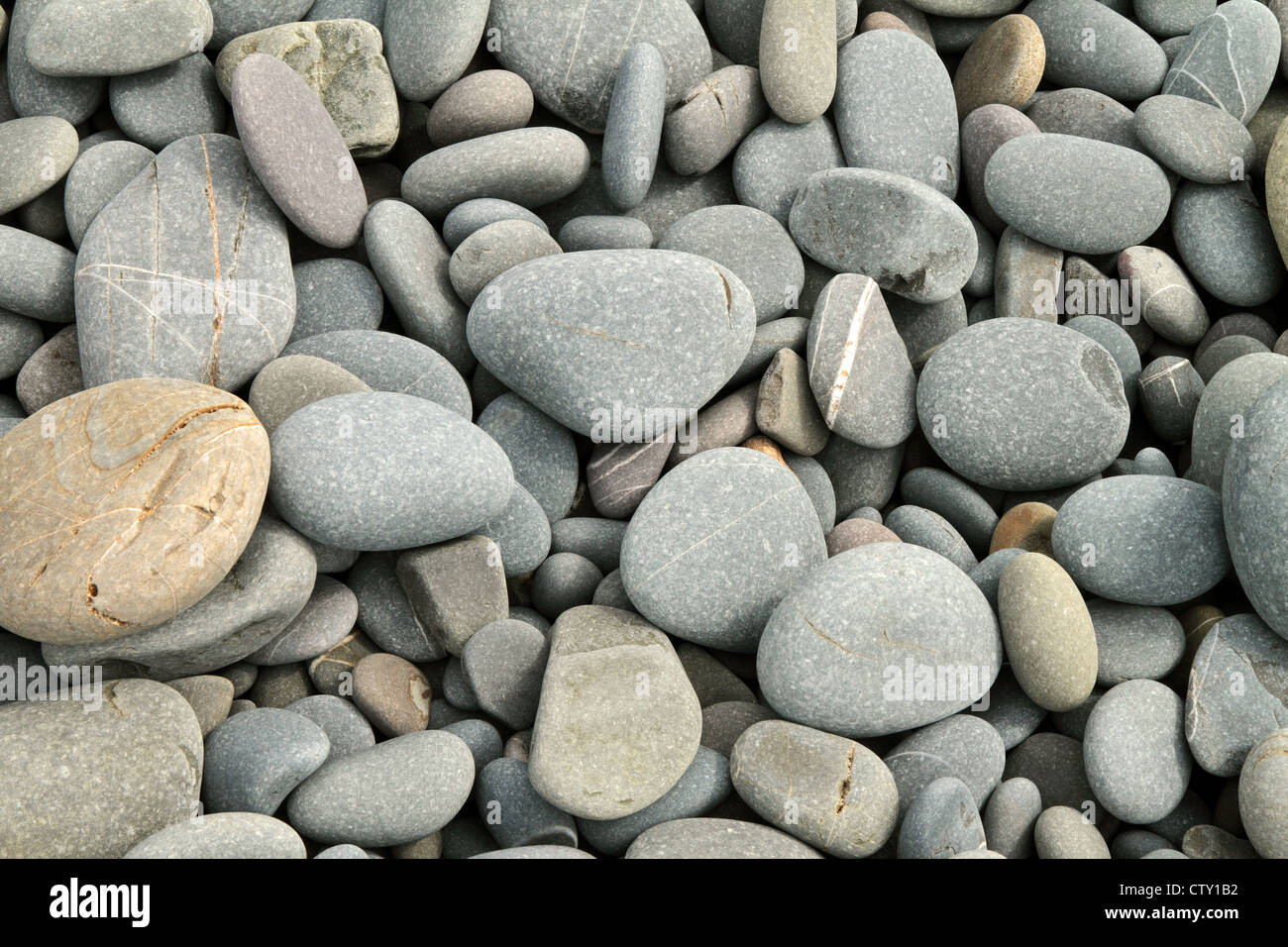 Pebbles on beach - Westward Ho, Devon, England Stock Photo - Alamy