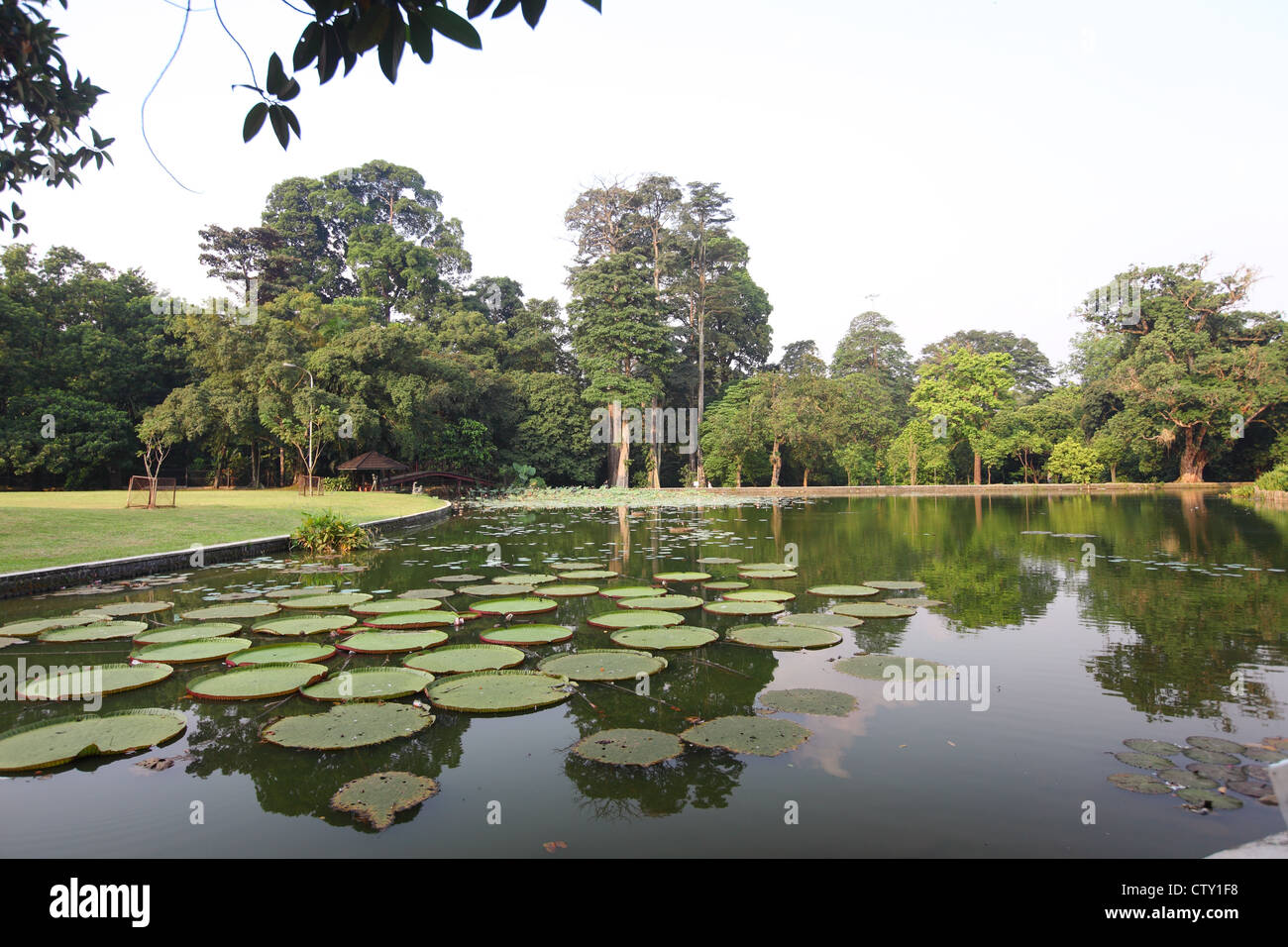 Java indonesia bogor botanical gardens hi-res stock photography and ...