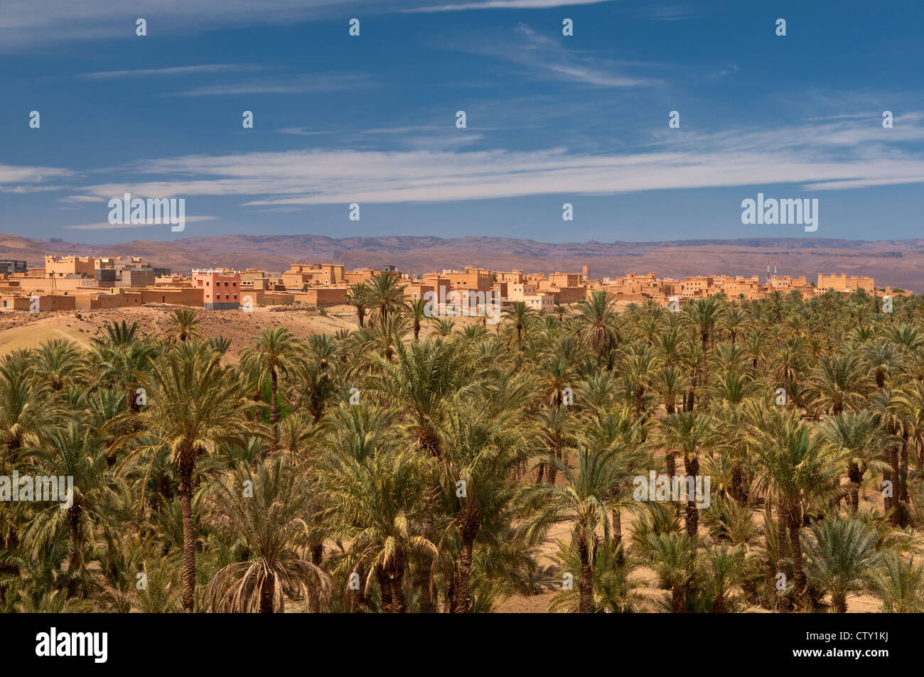 the palmery of N'Kob in the Draa Valley of southern Morocco Stock Photo ...