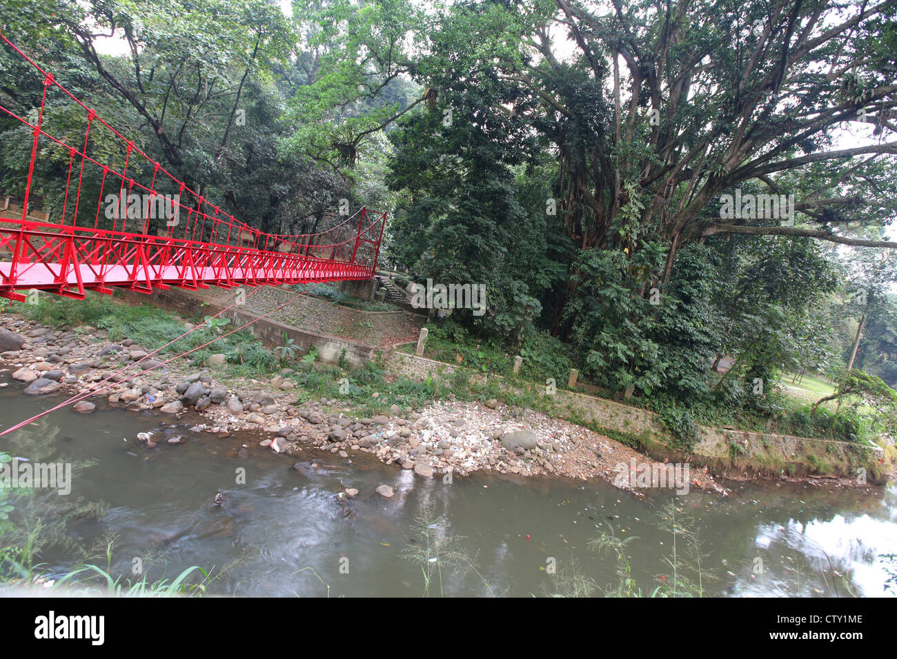 Bogor Botanical Gardens High Resolution Stock Photography and Images ...