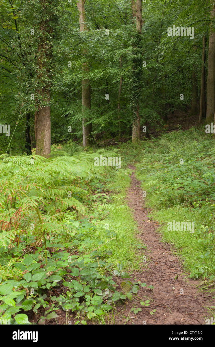 Well trod hi-res stock photography and images - Alamy