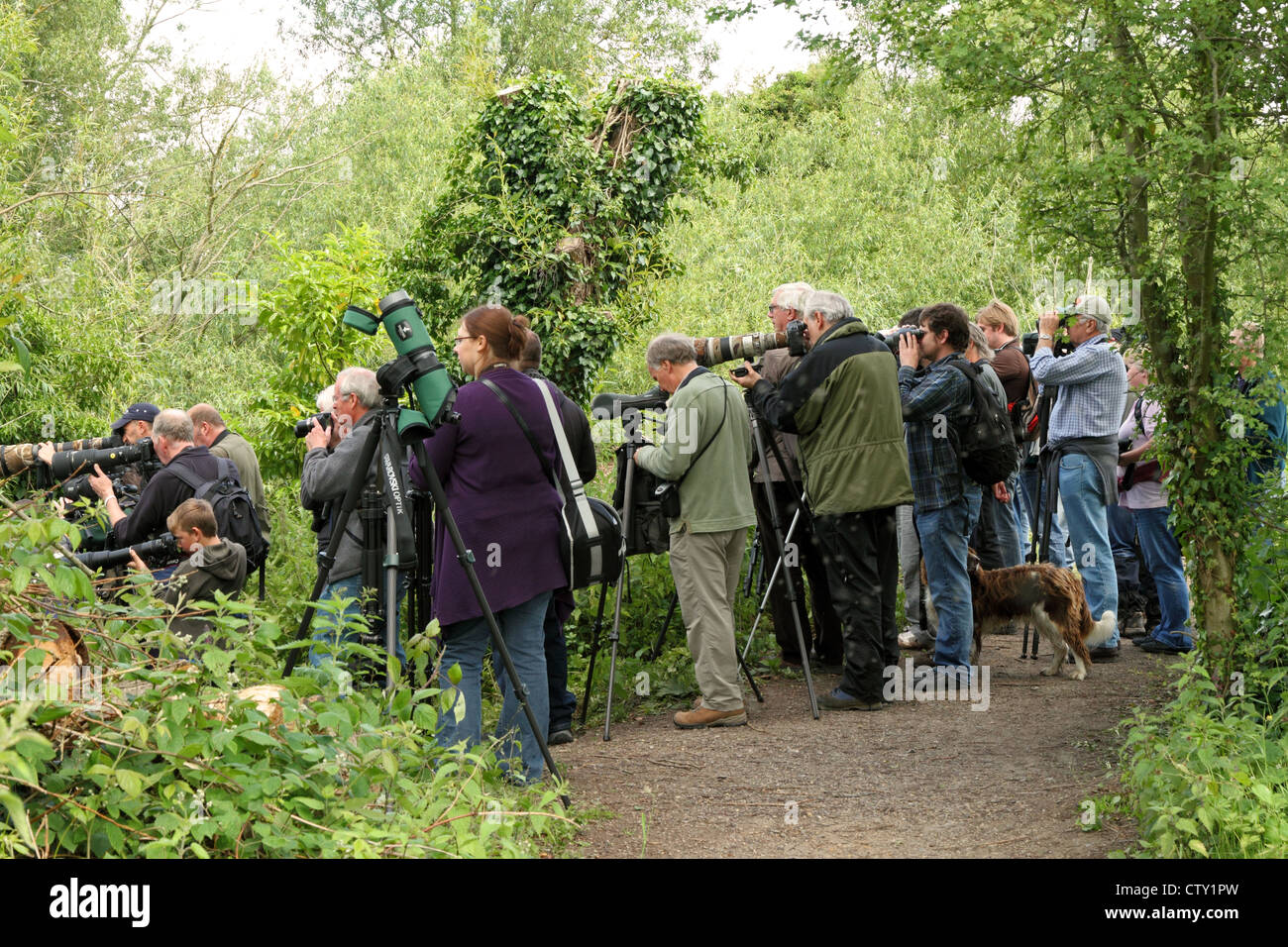Twitchers at a 'Twitch' for a rare bird. Hertfordshire, Engalnd Stock ...