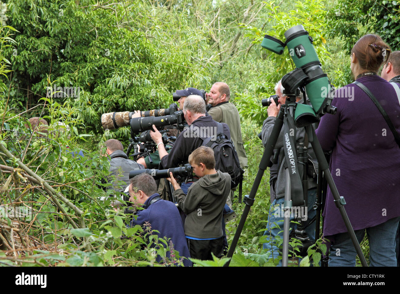 Twitchers at a 'Twitch' for a rare bird. Hertfordshire, Engalnd Stock ...