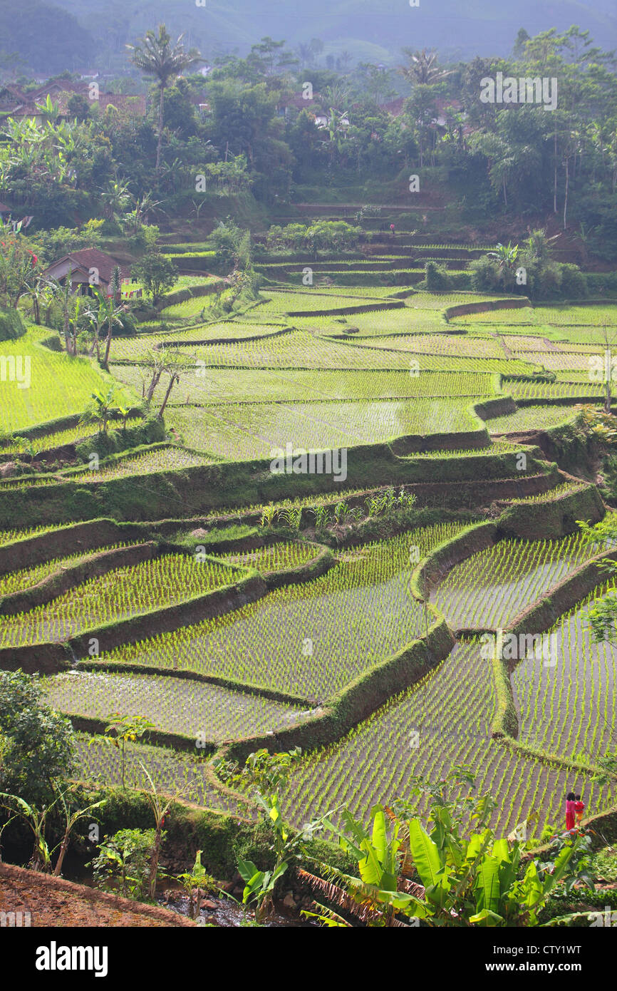 Tasik malaya hi-res stock photography and images - Alamy