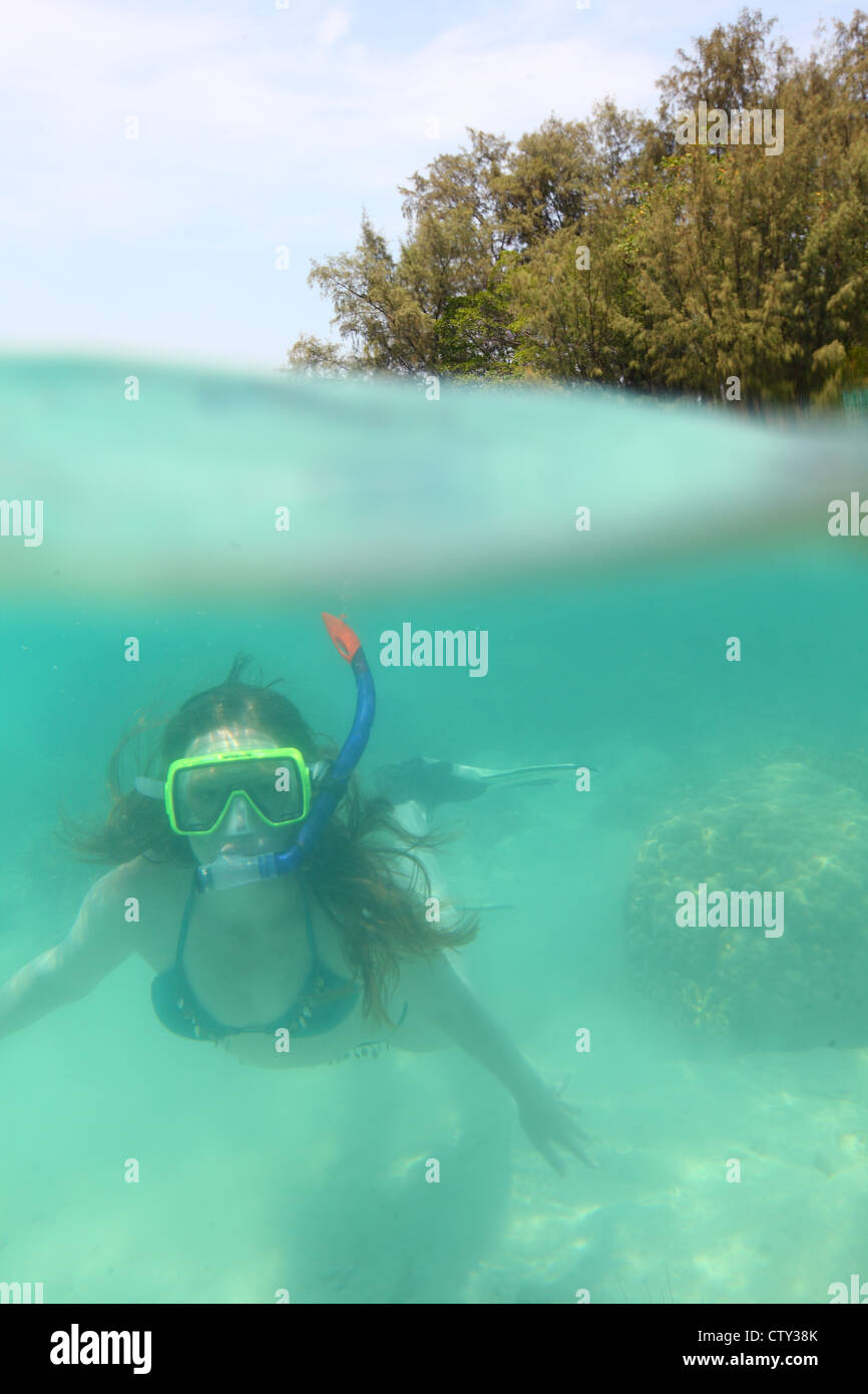 snorkeling underwater coral, Indonesia, Java sea, Kepulauan Seribu ...