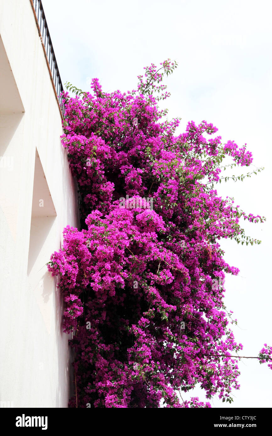 Cadaques spain hi-res stock photography and images - Alamy