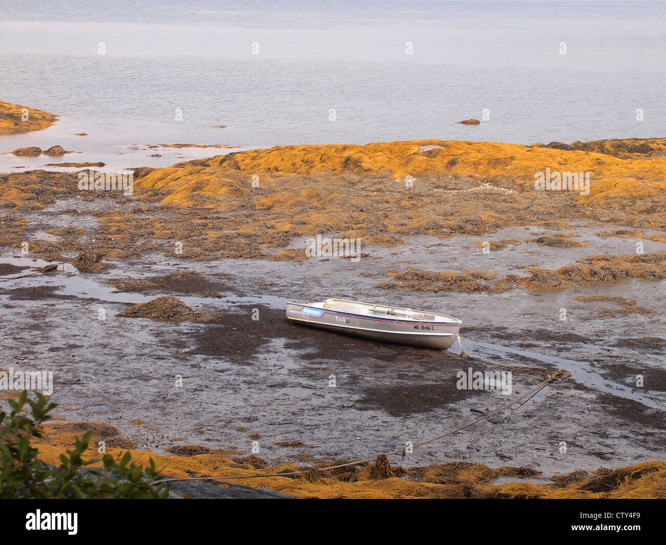 Dinghy on the mudflats at low tide at Flying Point, a peninsula in ...
