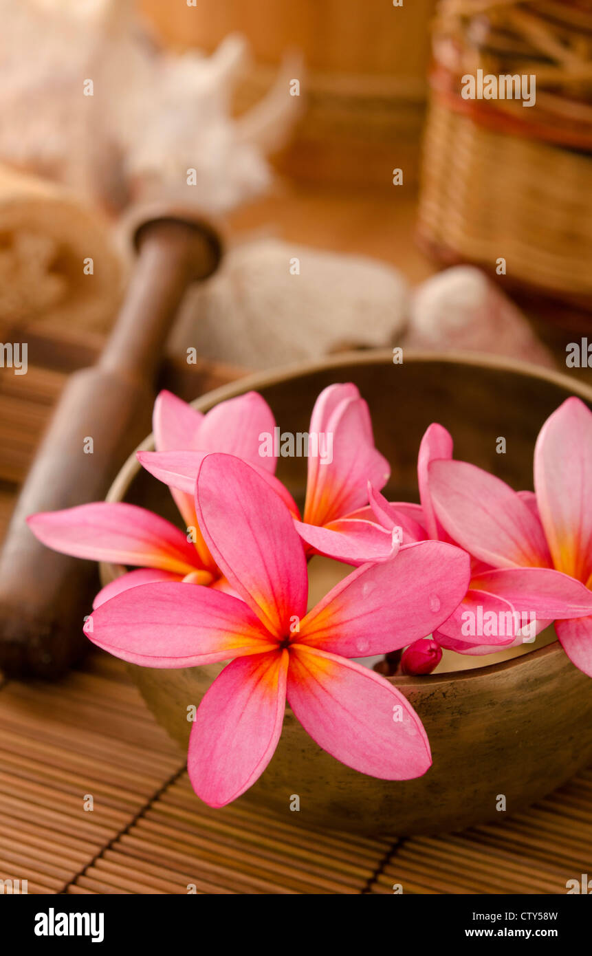 tropical spa with frangipani flowers arrangement Stock Photo - Alamy