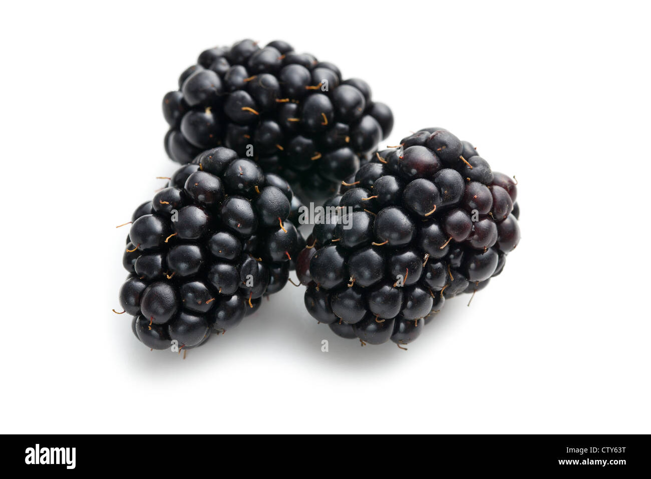 blackberry fruit on white background Stock Photo - Alamy