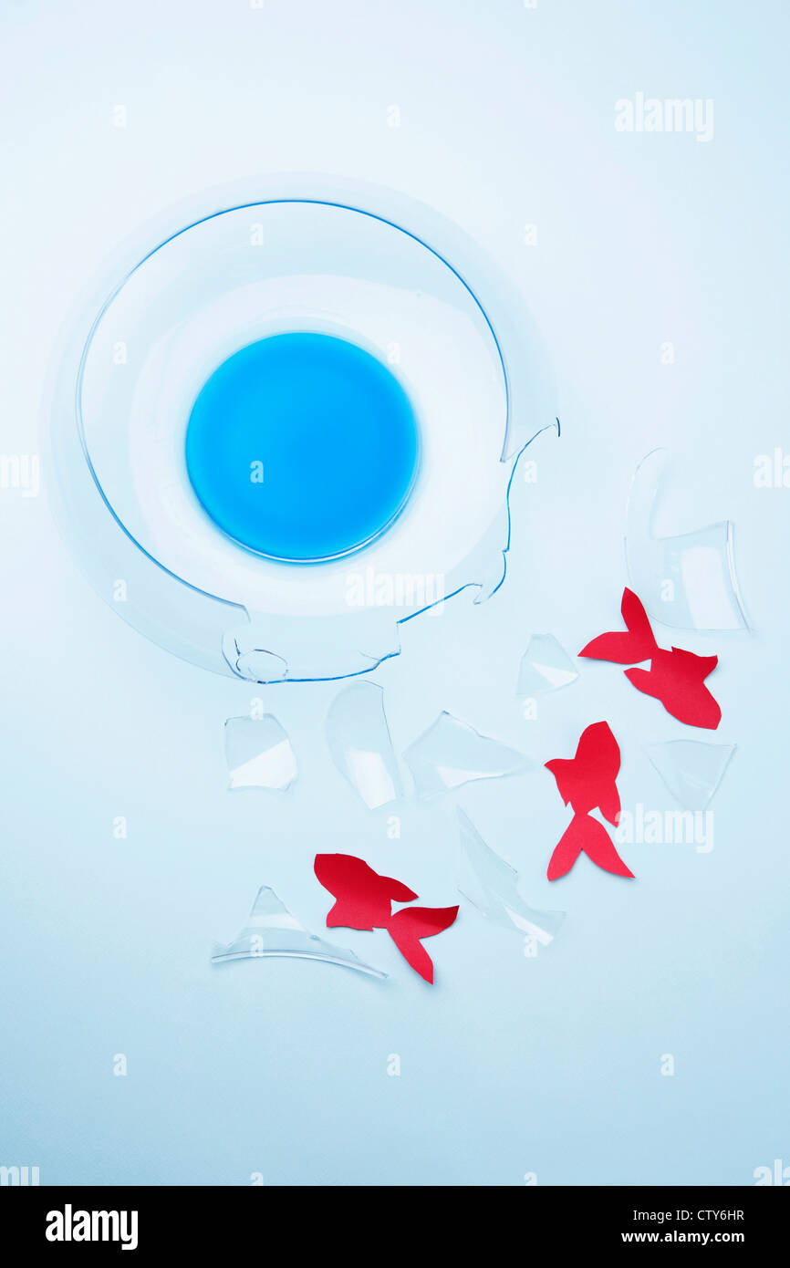 Red goldfishes and a broken fishbowl Stock Photo - Alamy