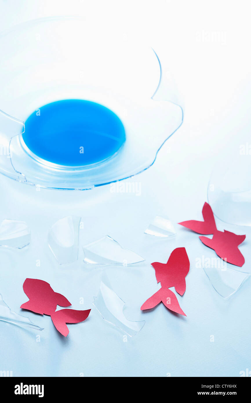 Fishbowl broken hi-res stock photography and images - Alamy