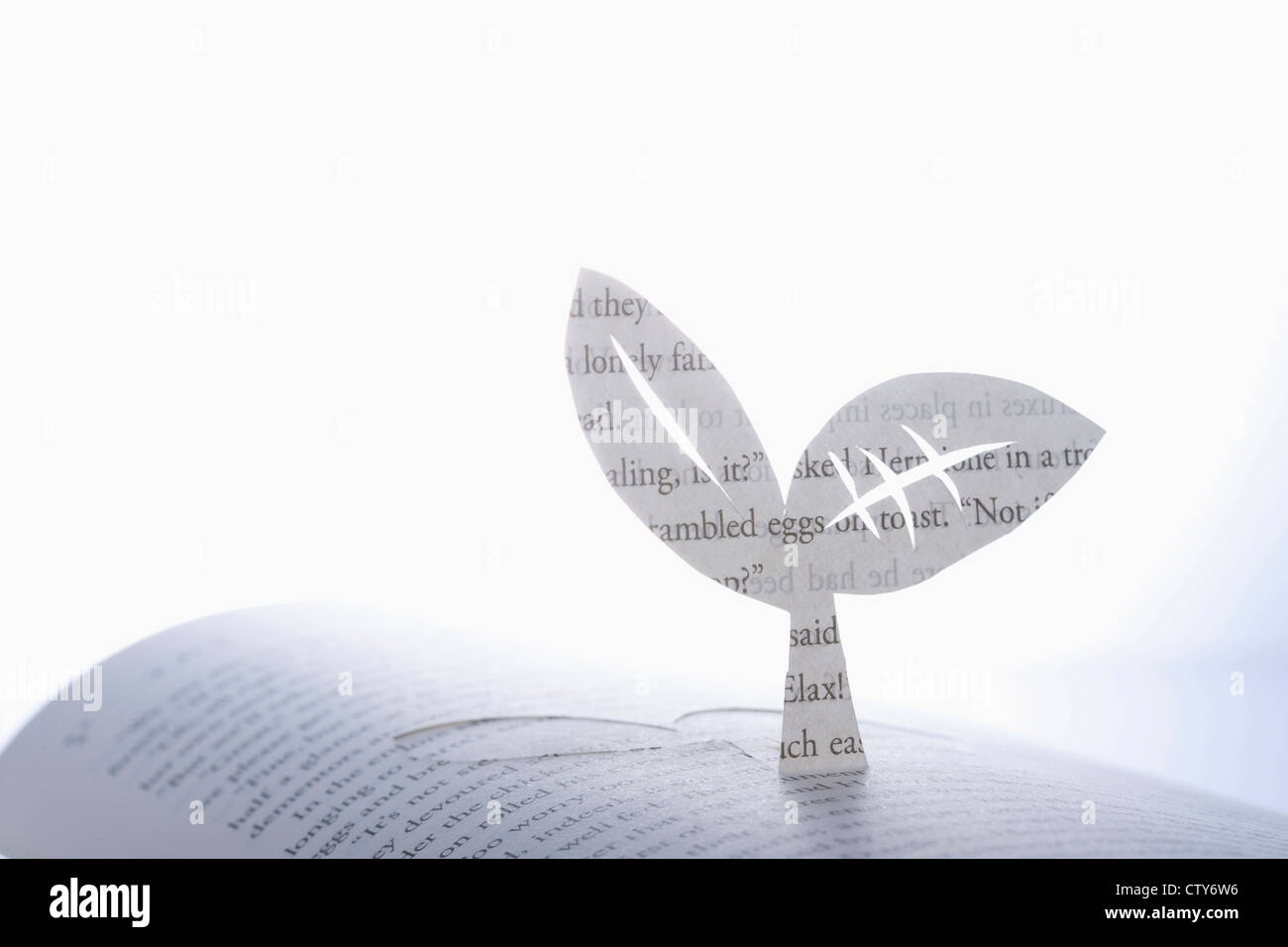 Paper craft of sprout from the book Stock Photo - Alamy