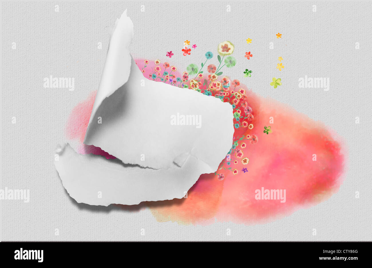 Pink tone flower and ripped paper Stock Photo - Alamy