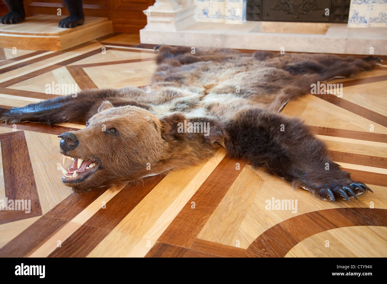 Hunting trophy room in the medieval castle Stock Photo - Alamy