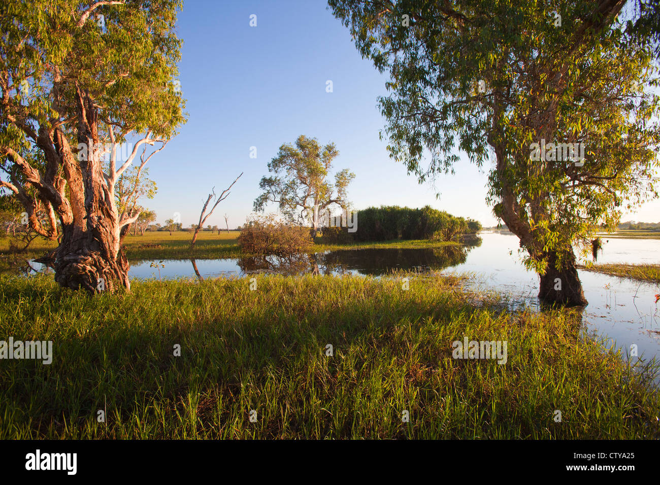 Billabong hi-res stock photography and images - Alamy