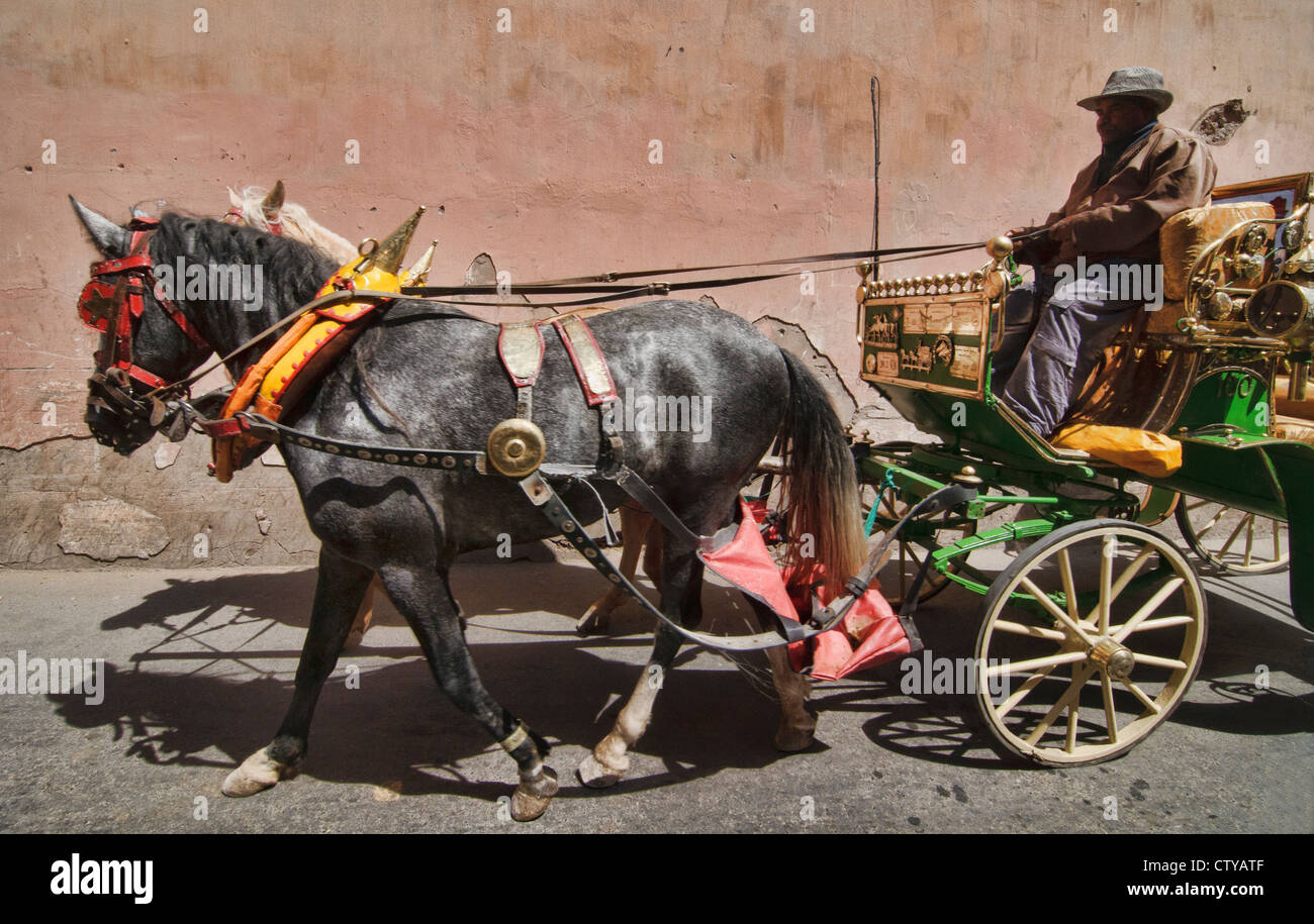 horse carriage in the ancient medina of Marrakech, Morocco Stock Photo ...