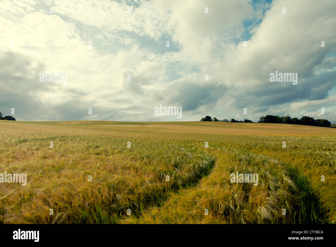 Norfolk countryside hi-res stock photography and images - Alamy