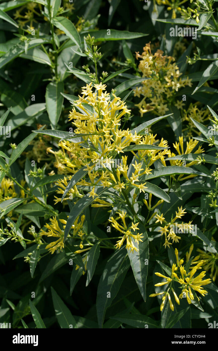 Toxicity humans hi-res stock photography and images - Alamy