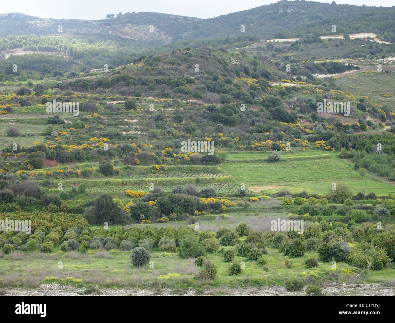 V colorful valley Stock Photo - Alamy