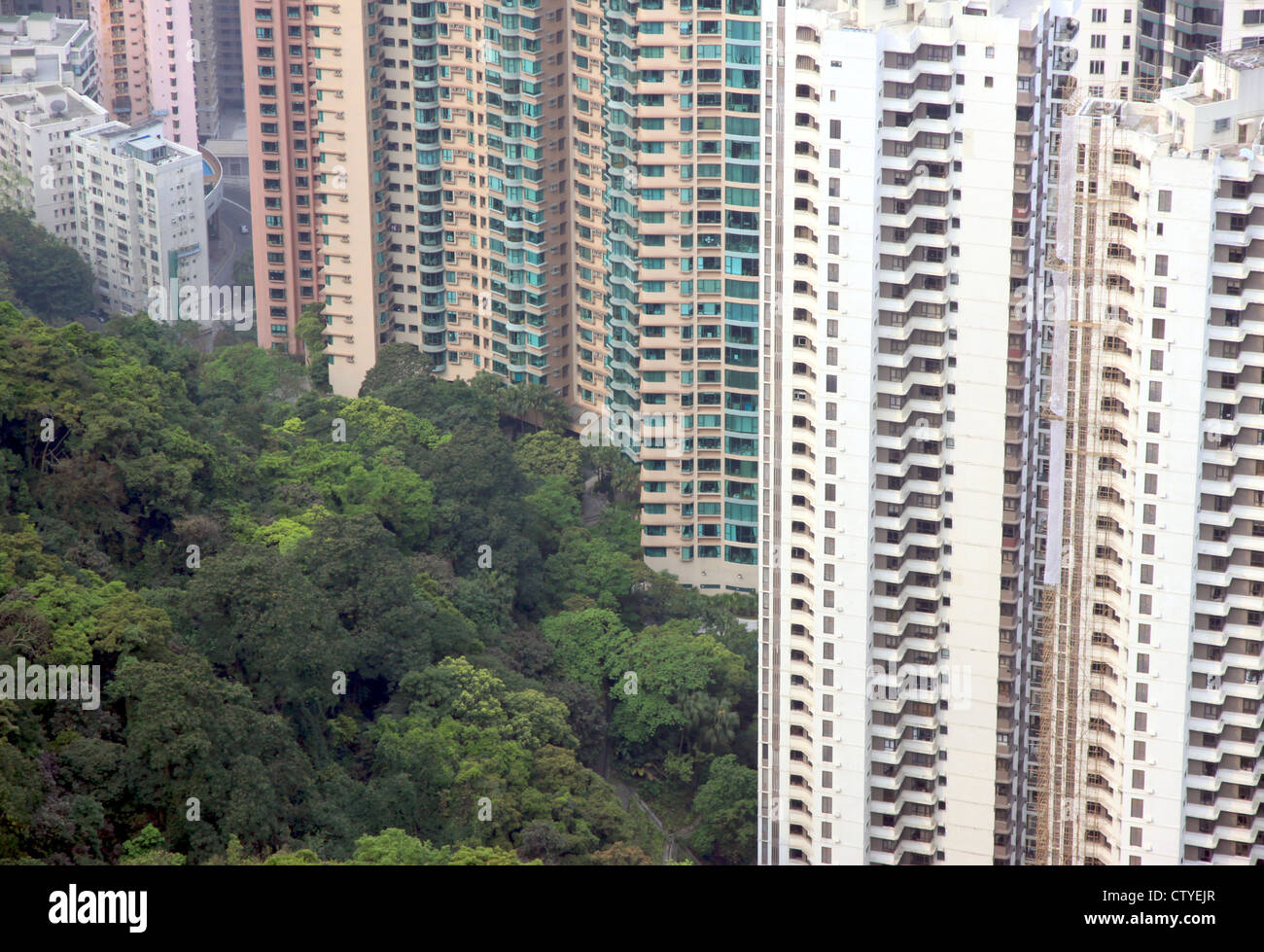 Huge residential building and vegetation in an Asian city Stock Photo ...