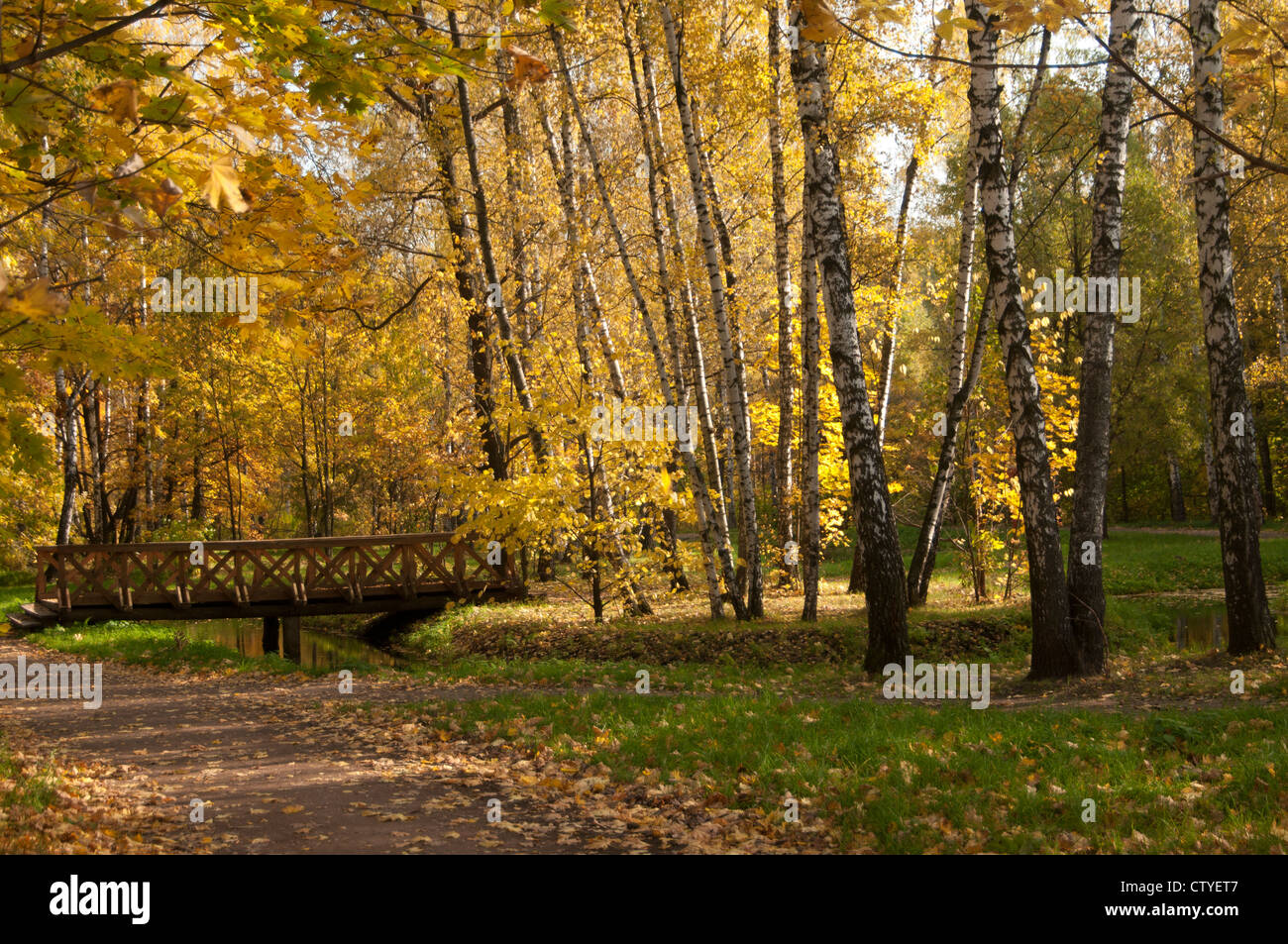 Moscow sokolniki park hi-res stock photography and images - Alamy