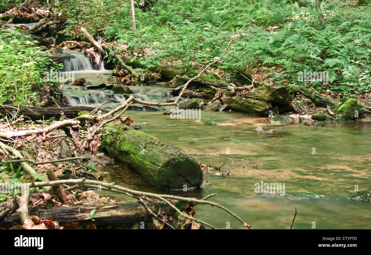 A small stream with waterfalls Stock Photo - Alamy