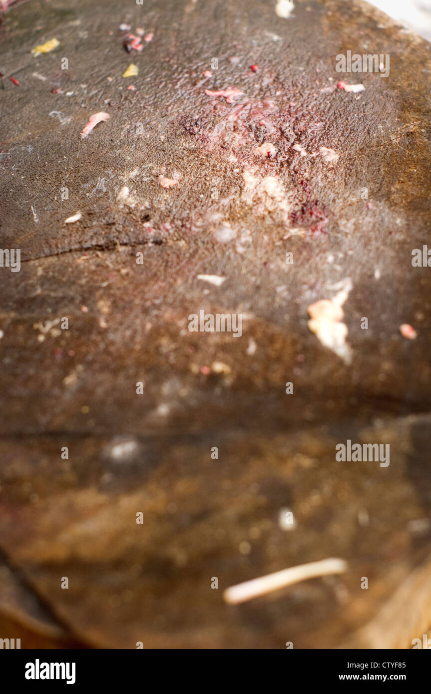 a close up shot of chopping block with blood remaining, for cruelty ...