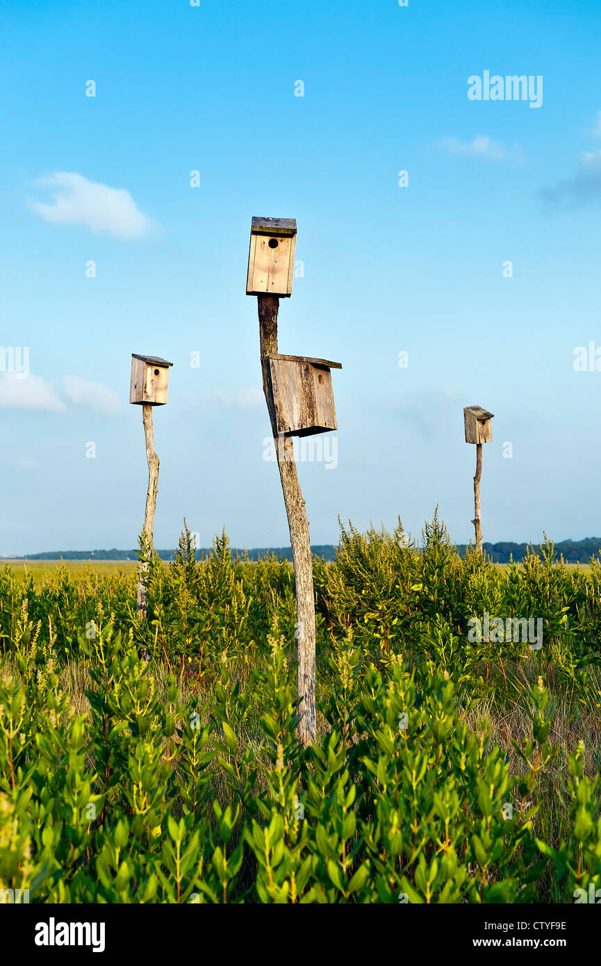 Birdhouses in salt marsh, Sandwich, Cape Cod, MA, Massachusetts Stock ...