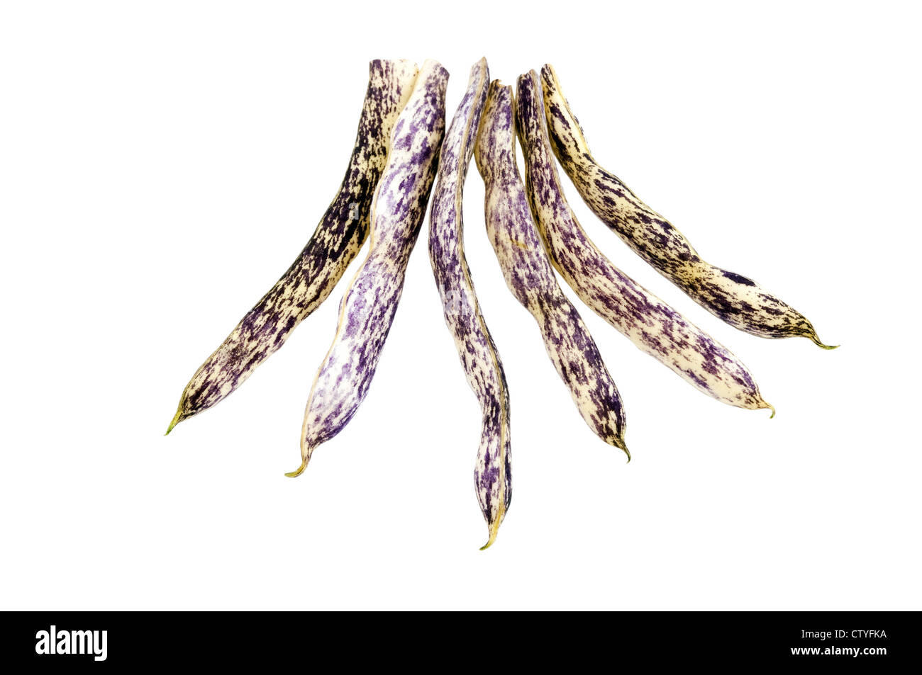 colorful beans isolated on white background Stock Photo - Alamy