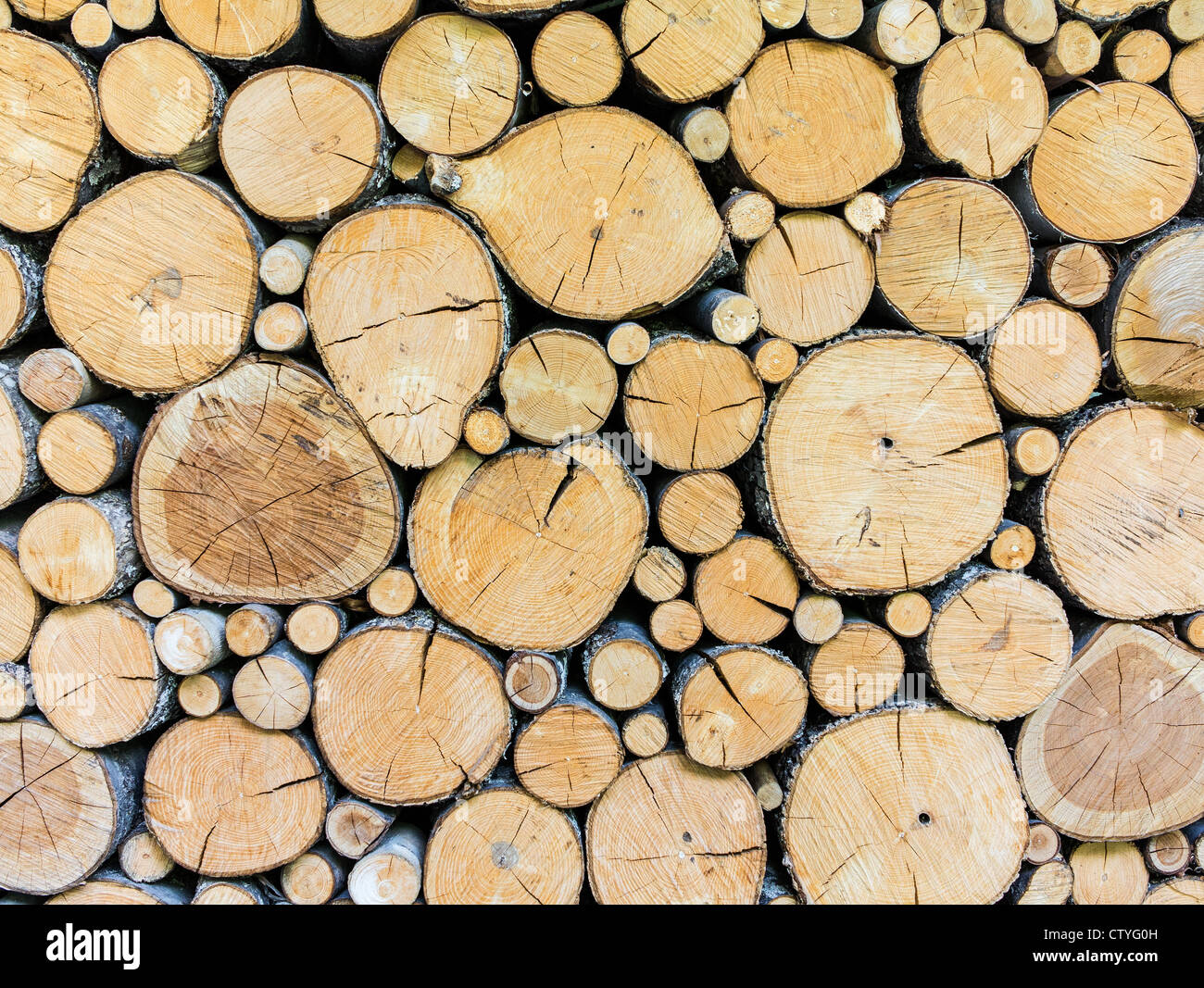 A timber woodpile background Stock Photo - Alamy