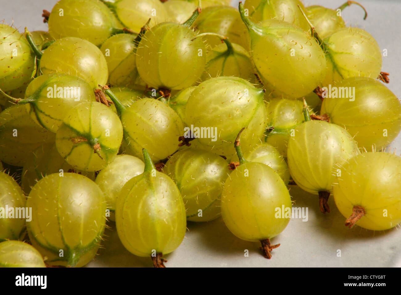 Gooseberry fool hi-res stock photography and images - Alamy