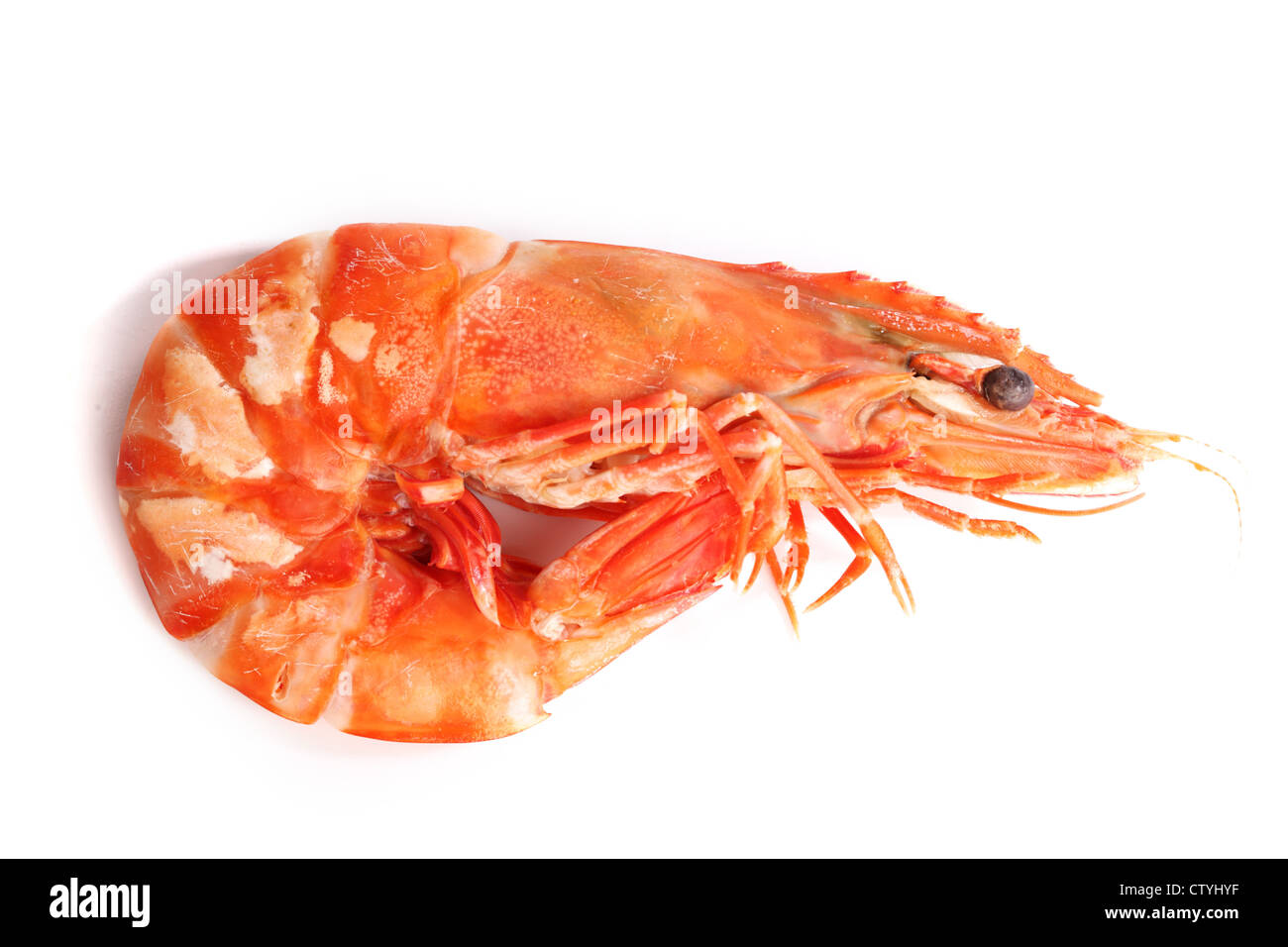 Red royal prawn Cut Out Stock Images & Pictures - Alamy