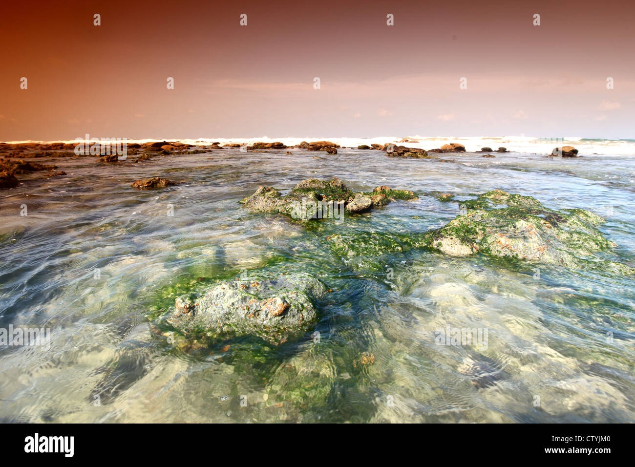 Reef stones an ocean water Stock Photo - Alamy