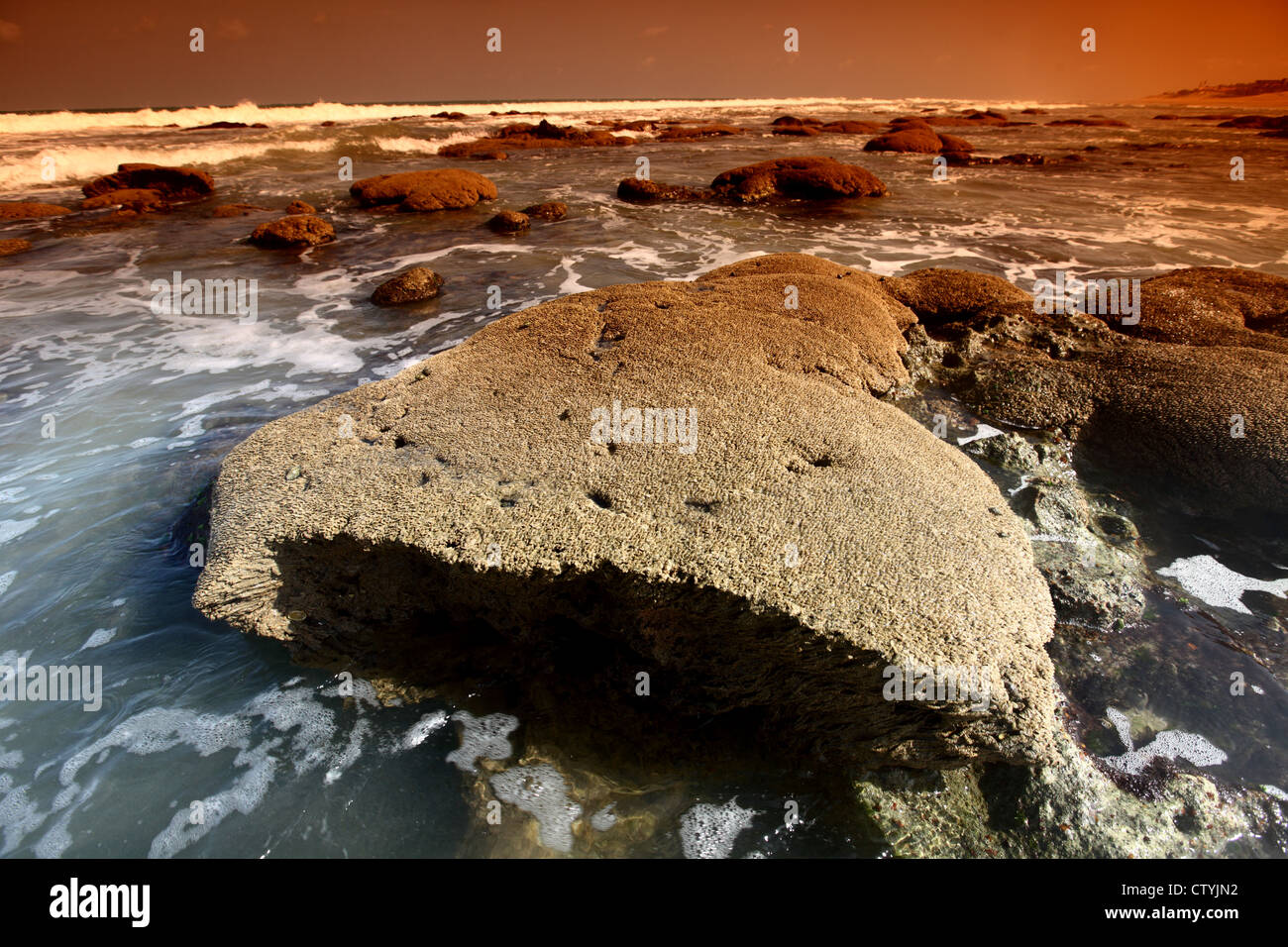 Reef stones an ocean water Stock Photo - Alamy