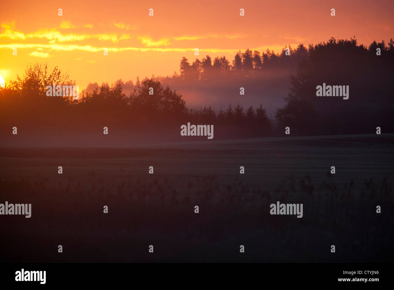 Sunrise over forest field hi-res stock photography and images - Alamy