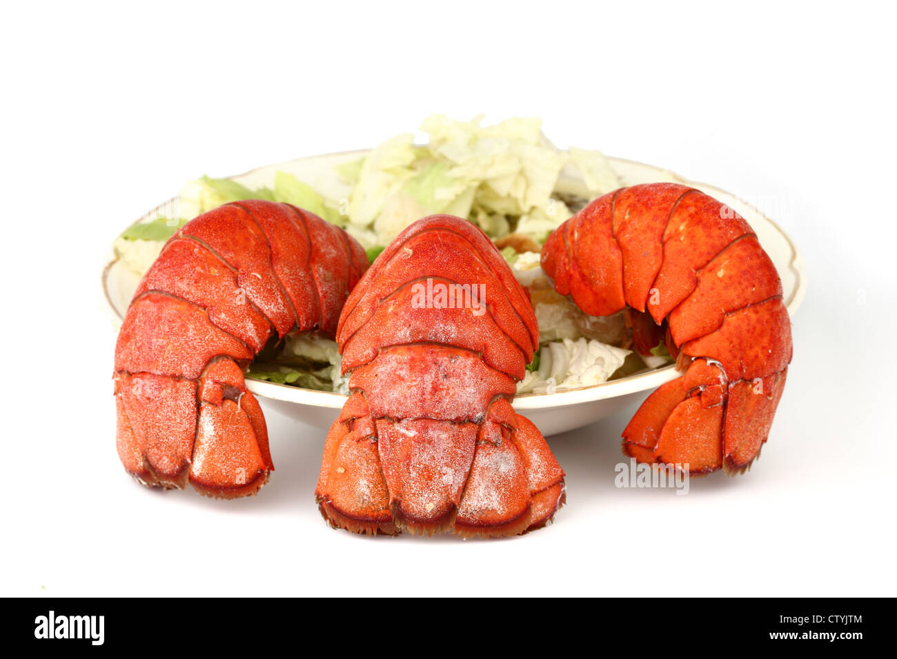 Lobster tail shell carapace hi-res stock photography and images - Alamy